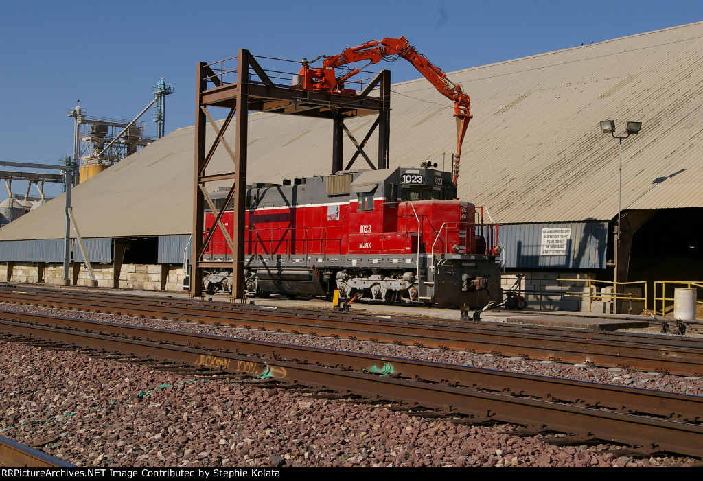 MJRX 1023 AT PEAVEY GRAIN
